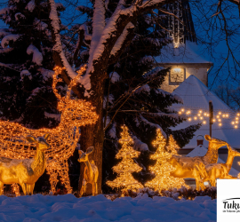 Dabas parks ENGURES EZERS - Dabas objekti - Ko skatīt? - Tukums