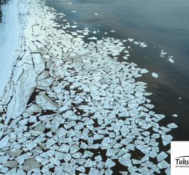 Dabas parks ENGURES EZERS - Dabas objekti - Ko skatīt? - Tukums