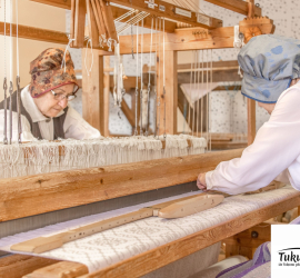 Dabas parks ENGURES EZERS - Dabas objekti - Ko skatīt? - Tukums