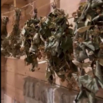 Ragaciems Skadiņi - Saunas - What to do? - Tukums